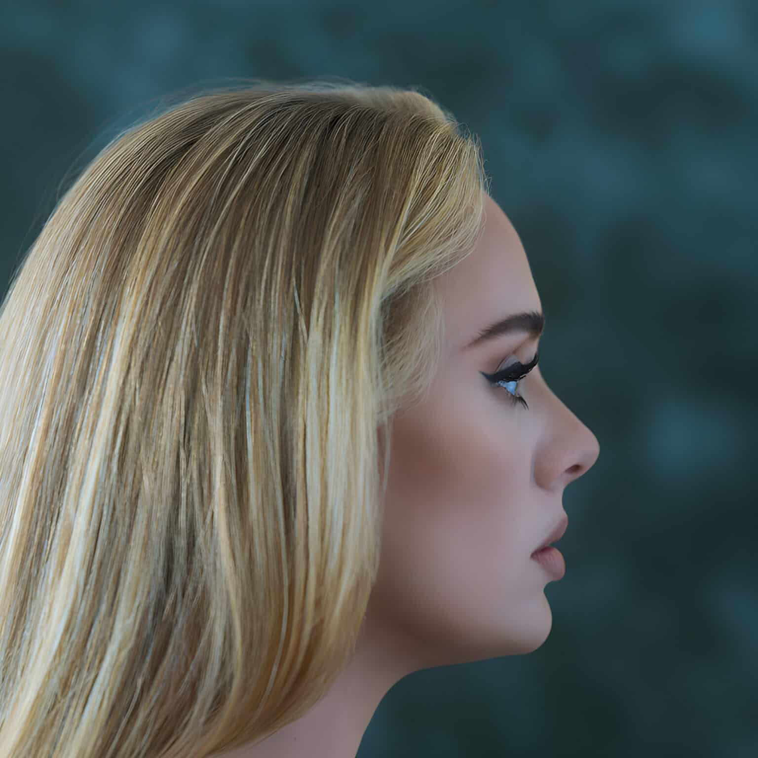 Meaning of ‘Skyfall’ by ‘Adele’ – Sound Sifter Music